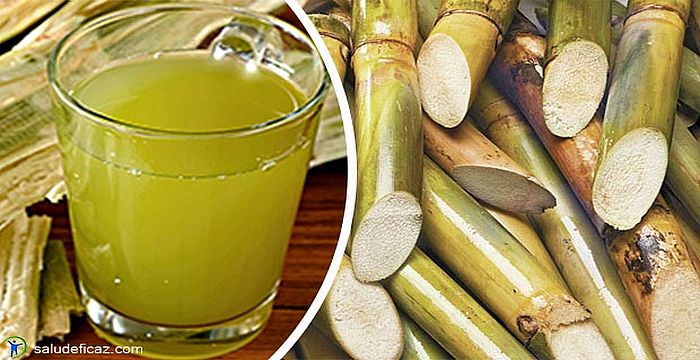 jugo de caña de azucar – Tu Salud Es Vida